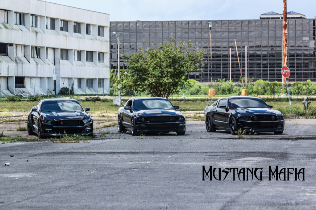 PHOTO GALLERY | MUSTANG MAFIA USA