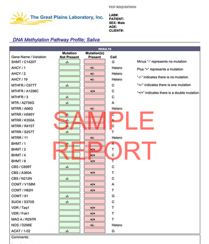 DNA Methylation Pathway Profile | ASD Health Coach