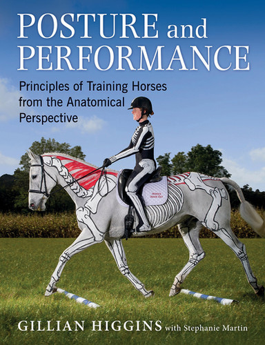 Posture and Performance | saddleryschool