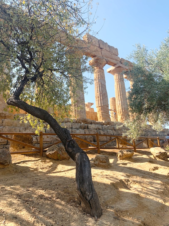Wat te doen in Agrigento? Lees hier de leukste dingen om te doen!