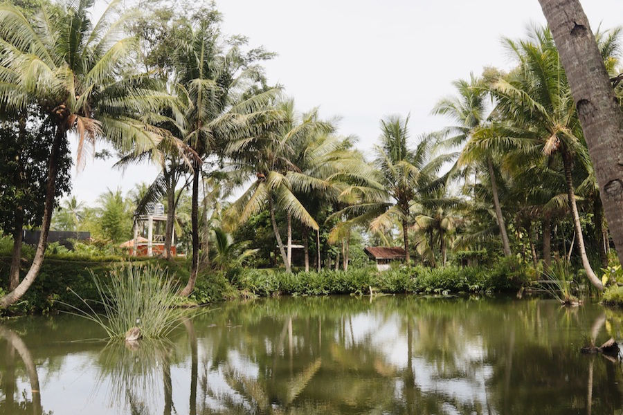 Dit zijn de leukste bezienswaardigheden op Java!