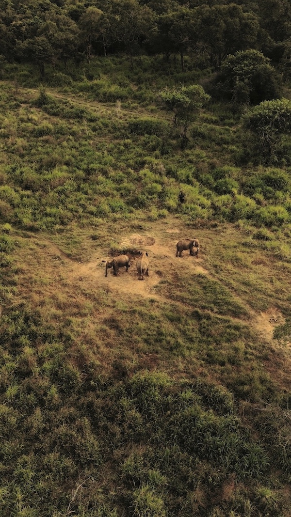 Wat te doen in Sigiriya? De 5 leukste tips!