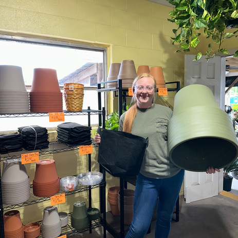 Morris Plant Farm | Plants | 19941 Old Maxton Road, Maxton, NC, USA