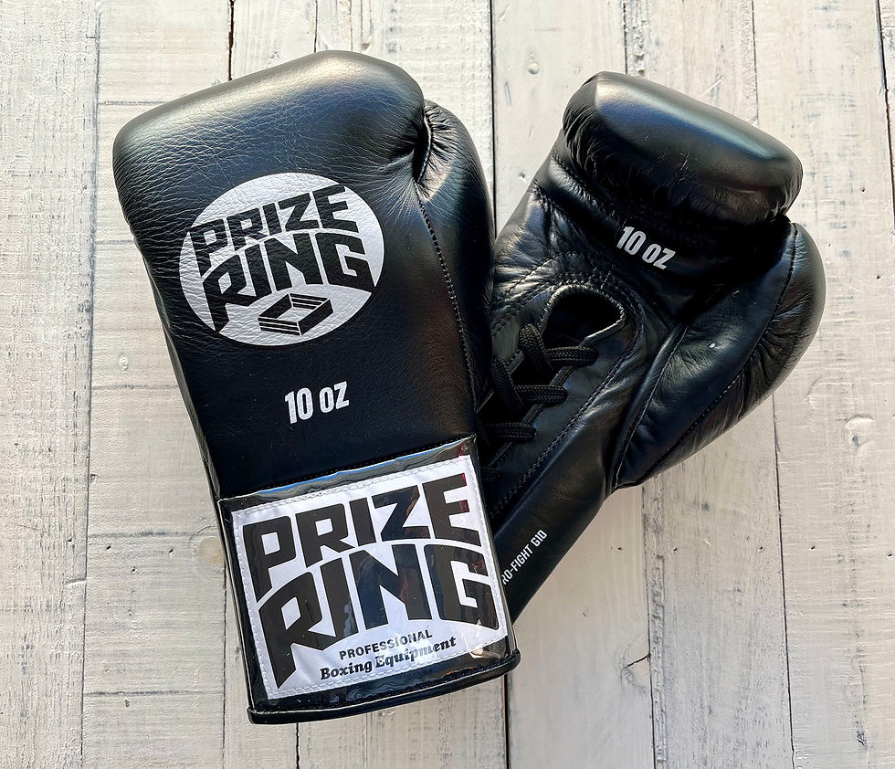 PRIZE RING "Pro-fight G10" horse hair boxing gloves Black 8oz,10oz ...