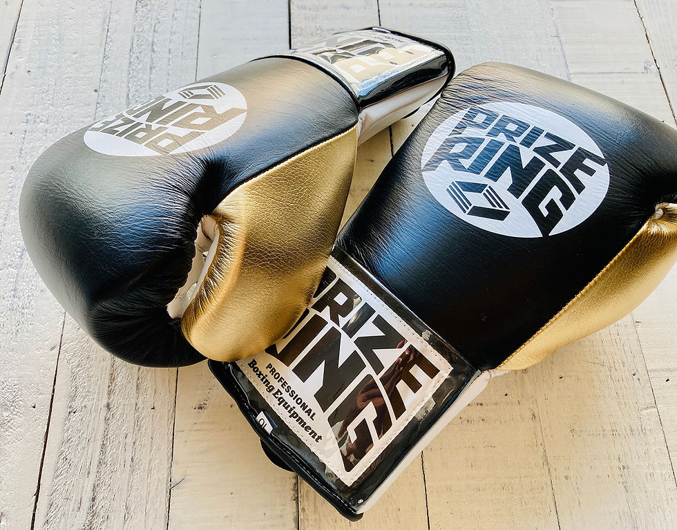 BOXING GLOVES | prizeringsports 3/4