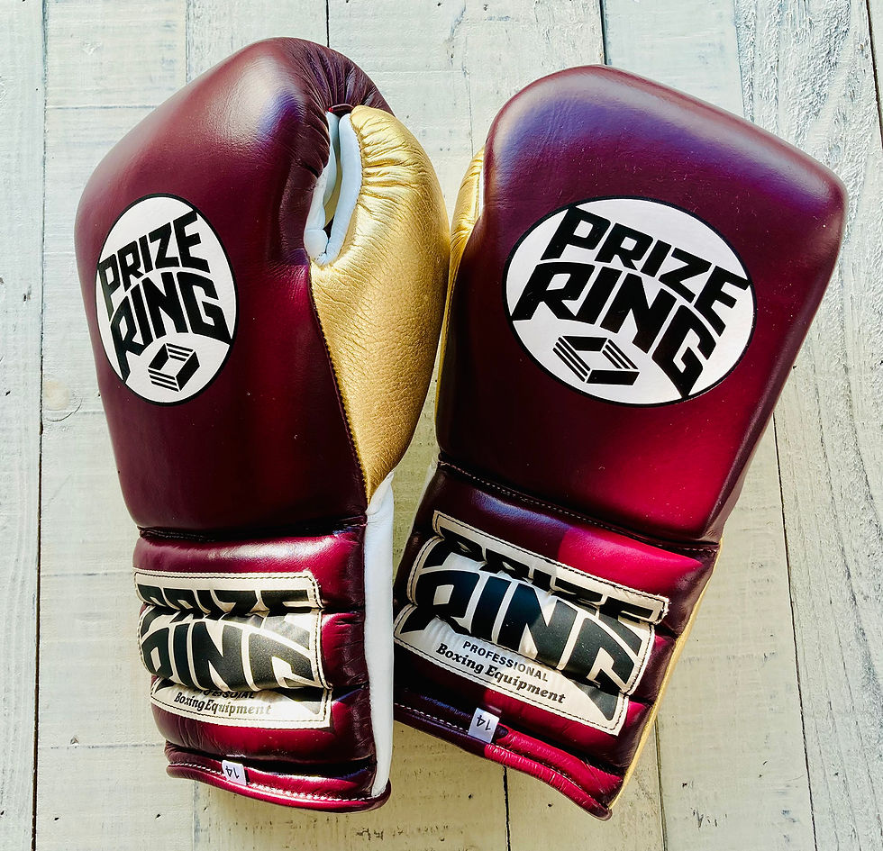 BOXING GLOVES | prizeringsports 2/3