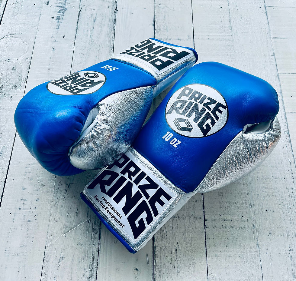 PRIZE RING "Pro-fight G10" horse hair boxing gloves Blue/Silver 8oz ...