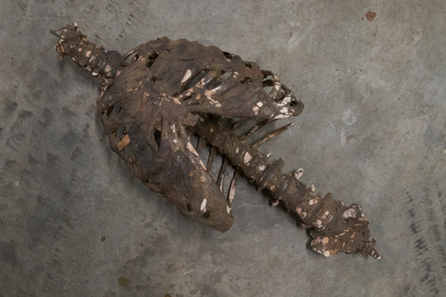 Mummified Rib Cage | Seattle Sets & Props