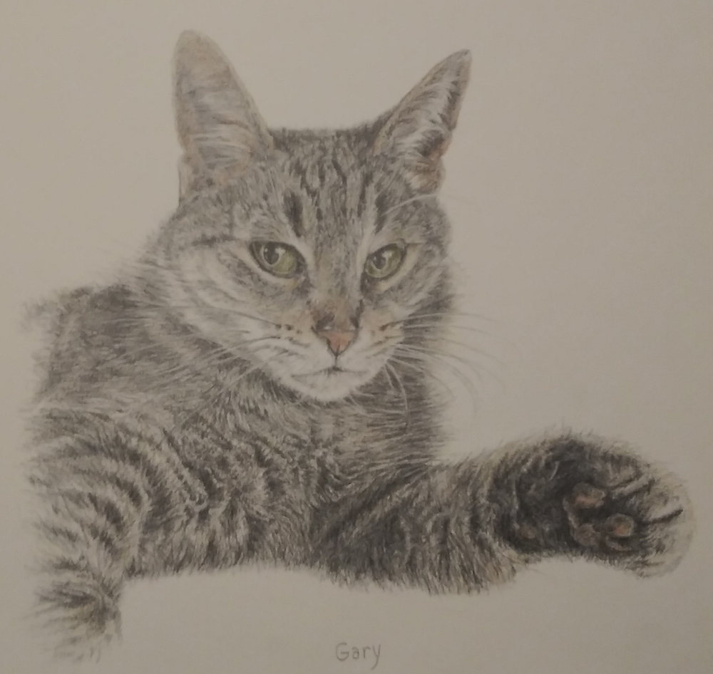 The Story of... Gary the Cat, as told by Gary's "mom"