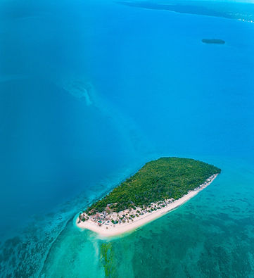 Resort Collection | The Cocoon Collection