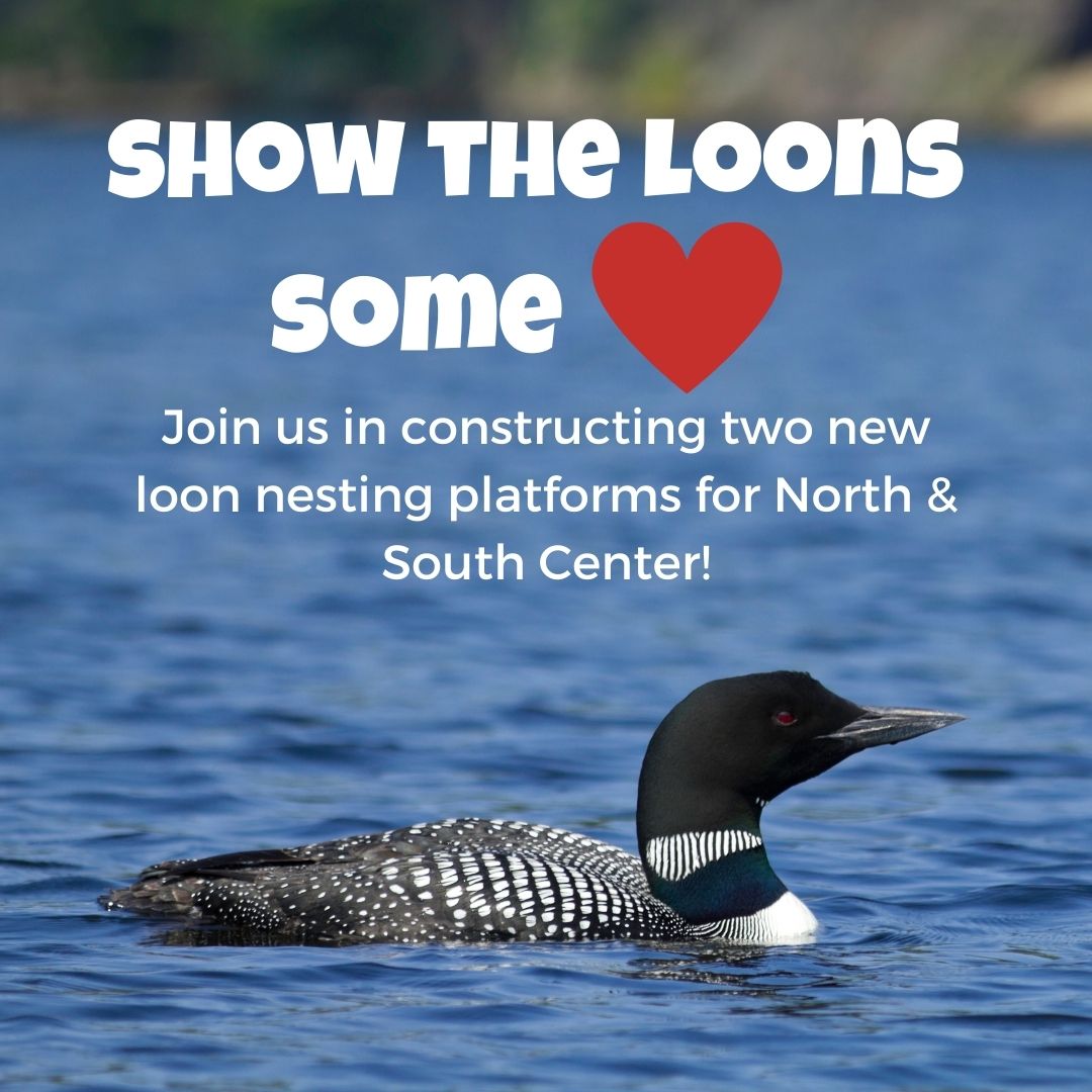 Love the loons? This project is for you!