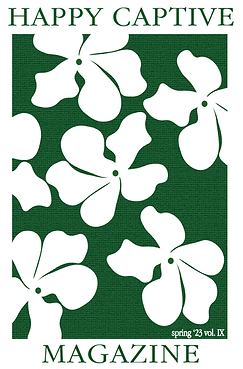 Digital Volumes | Happy Captive Mag