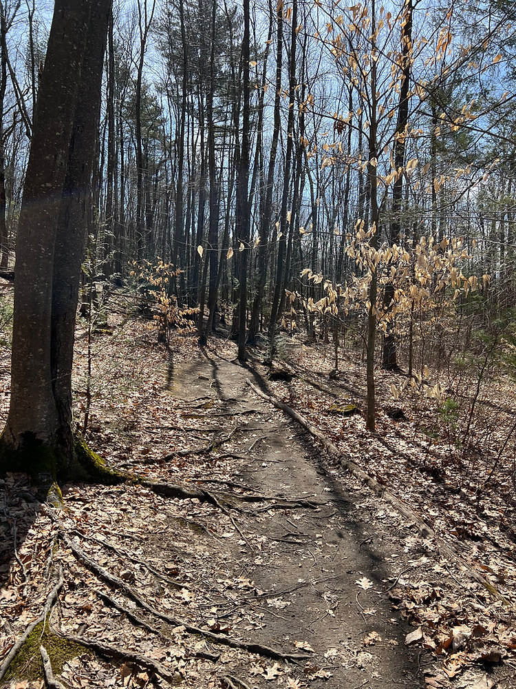 “The way life works is as a path and that is why to keep on moving is ...