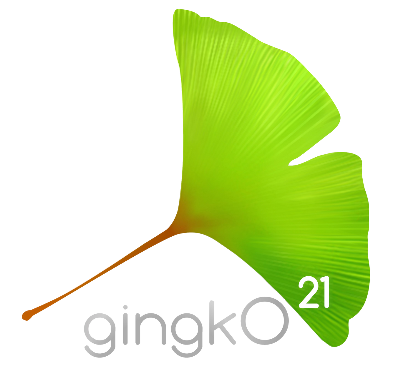 Data et automatisation | Gingko 21