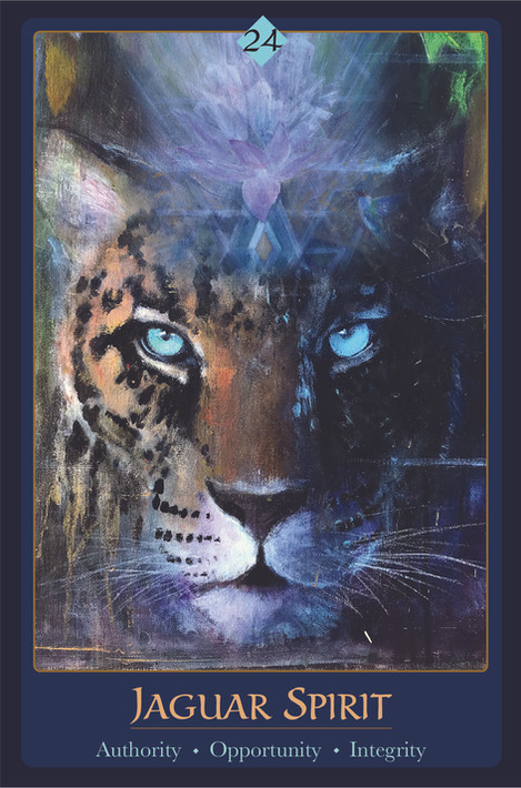 Card Gallery | The Spirit Cards