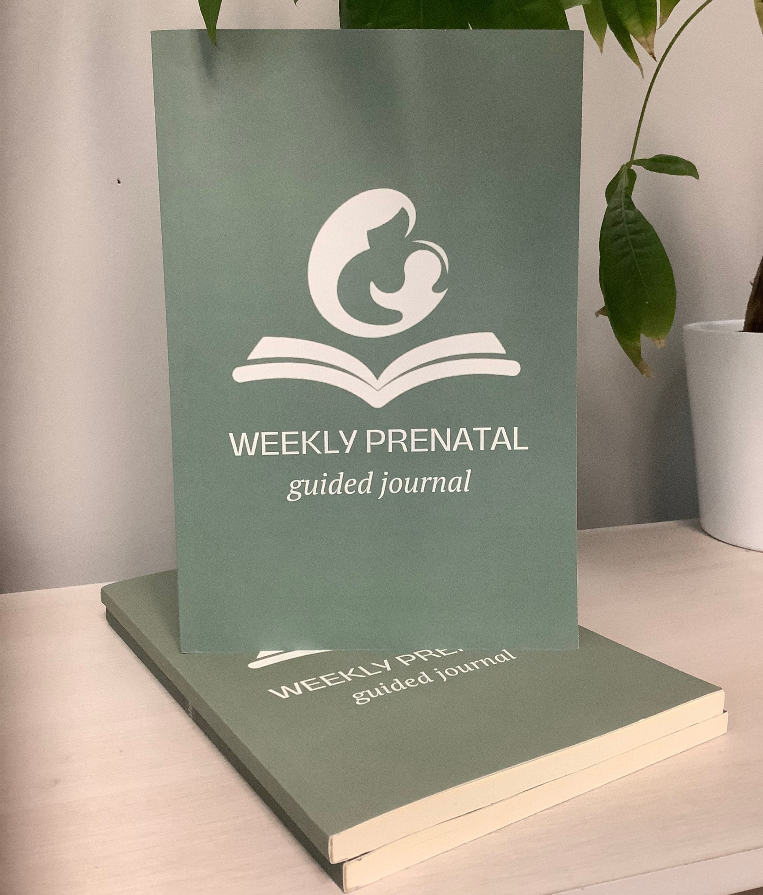 Introducing A New Prenatal Journal