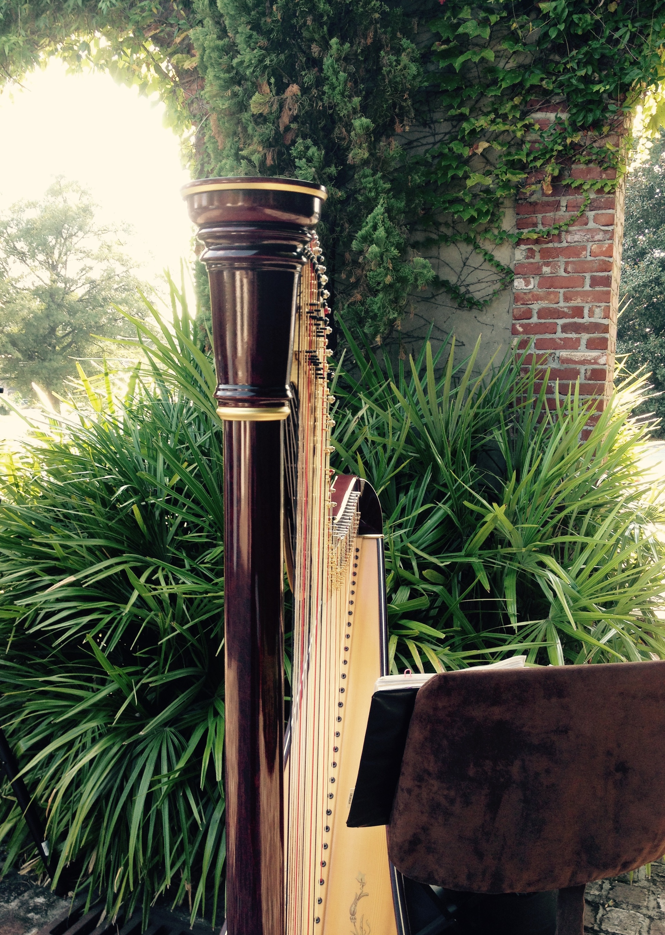 Georgia harpist | Showcase-portfolio AtlantaHarpist.com