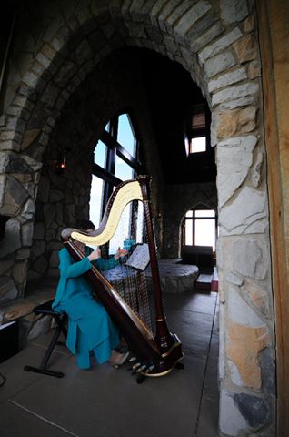 Georgia harpist | Showcase-portfolio AtlantaHarpist.com