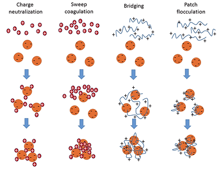Coagulation and flocculation | My Site 1