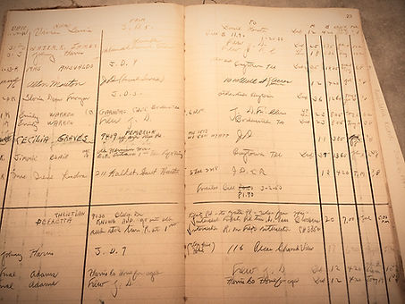 Home | Mikaela Selley Consulting