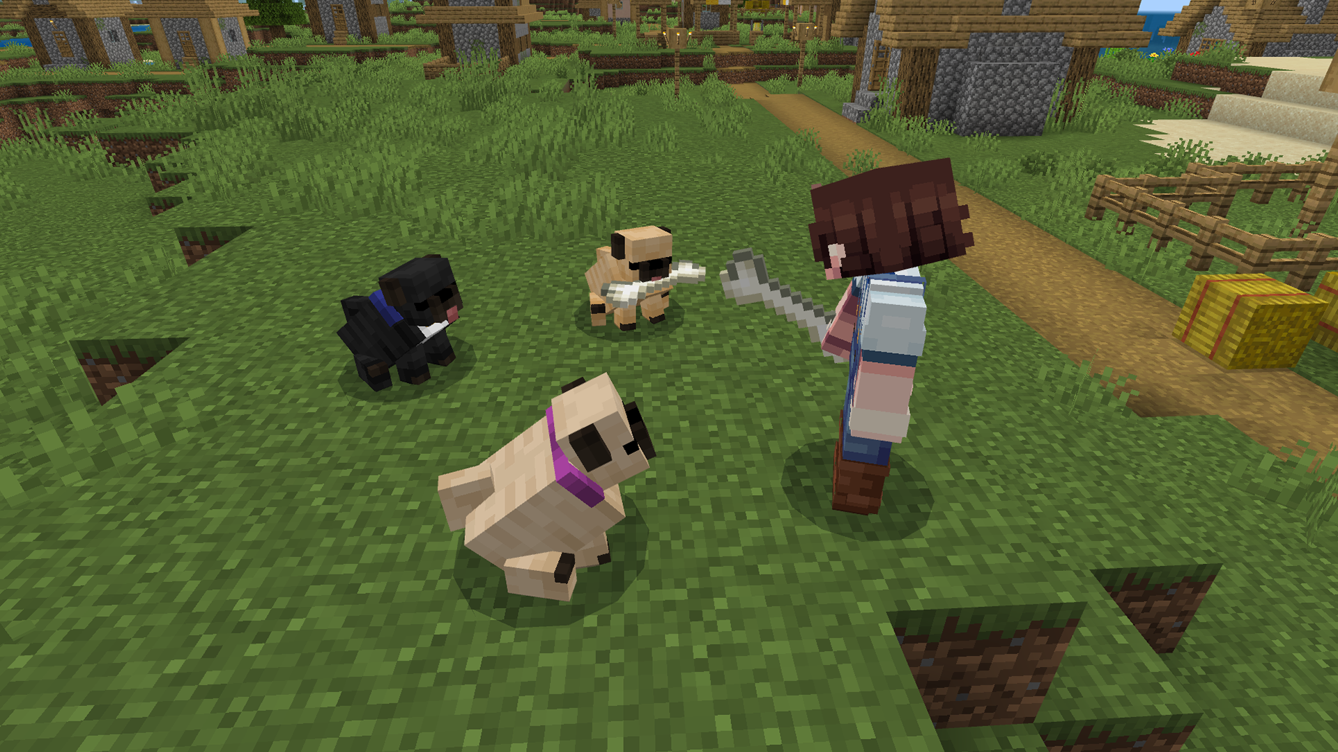 Dogs Plus Addon - Minecraft Bedrock Addons - CurseForge