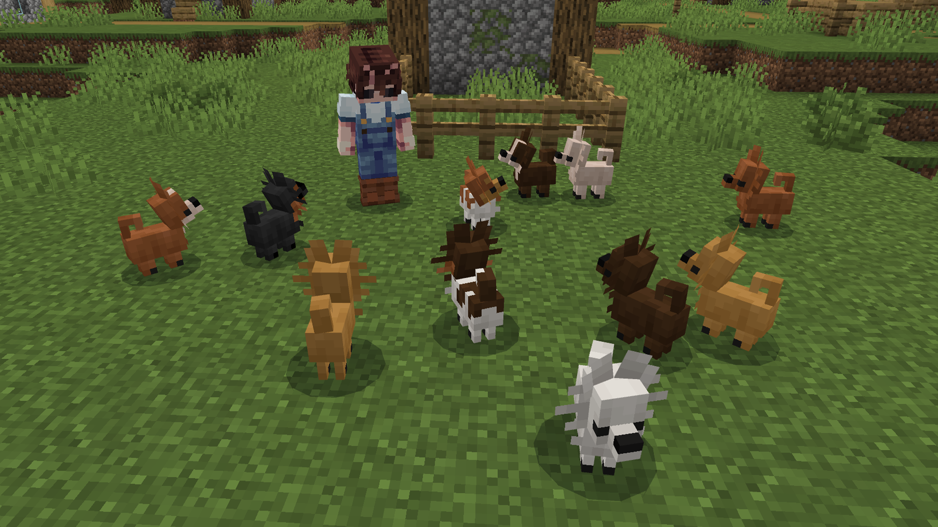 Dogs Plus Addon - Minecraft Bedrock Addons - CurseForge