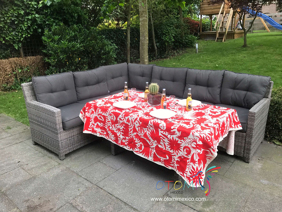 Otomi Tablecloths | Otomi Mexico | Mexican Embroidery
