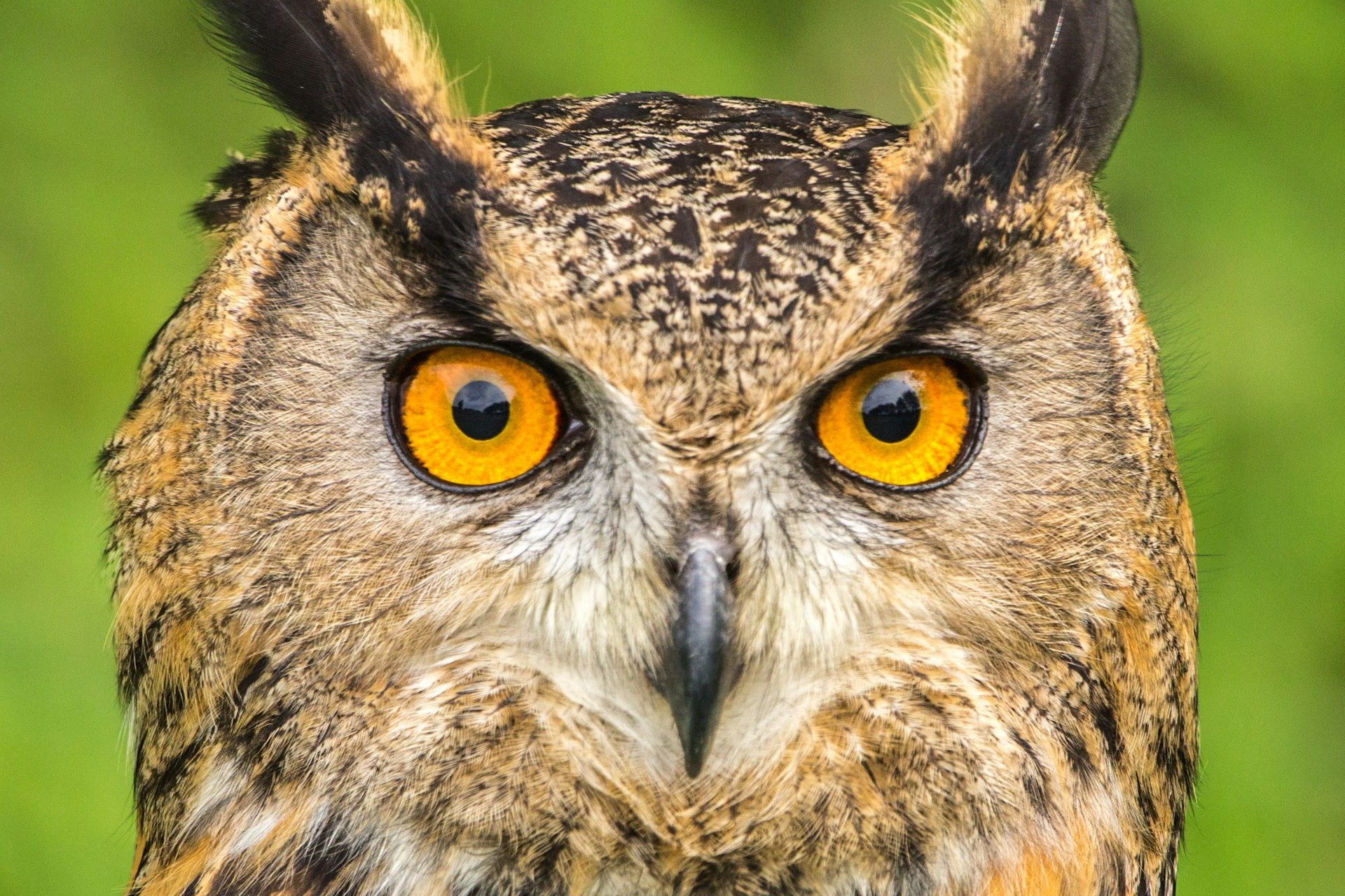 Occasional Worship Leaders (OWLs) | Chester Diocese