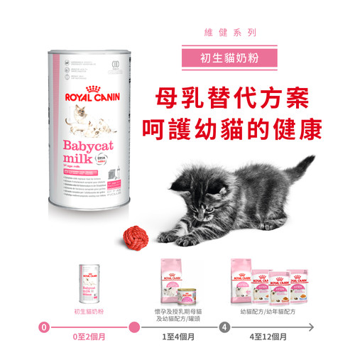 RC BABY CAT MILK 300G | The Sanctuary