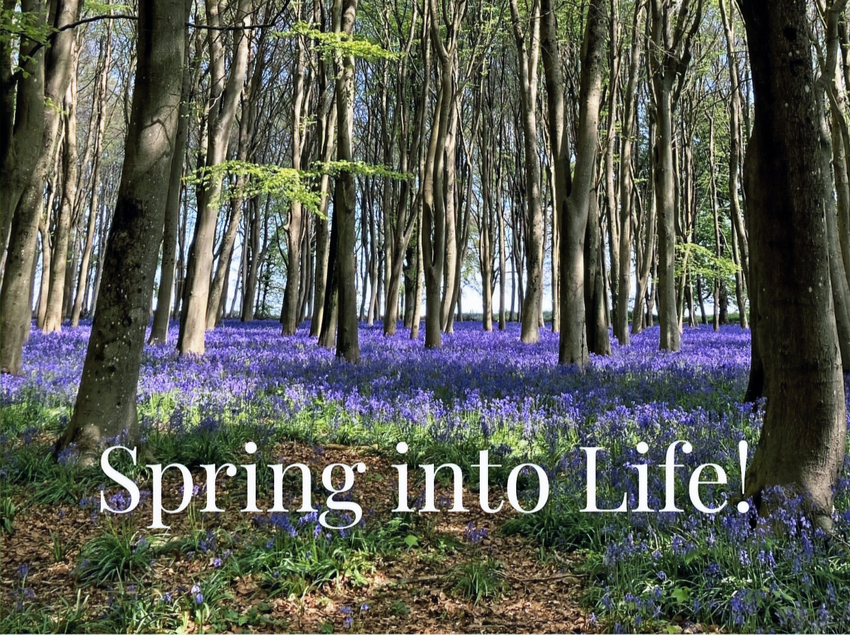 Spring into Life! | Julia Falcon Yoga