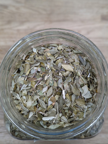 Buchu Leaves | Power Herbs