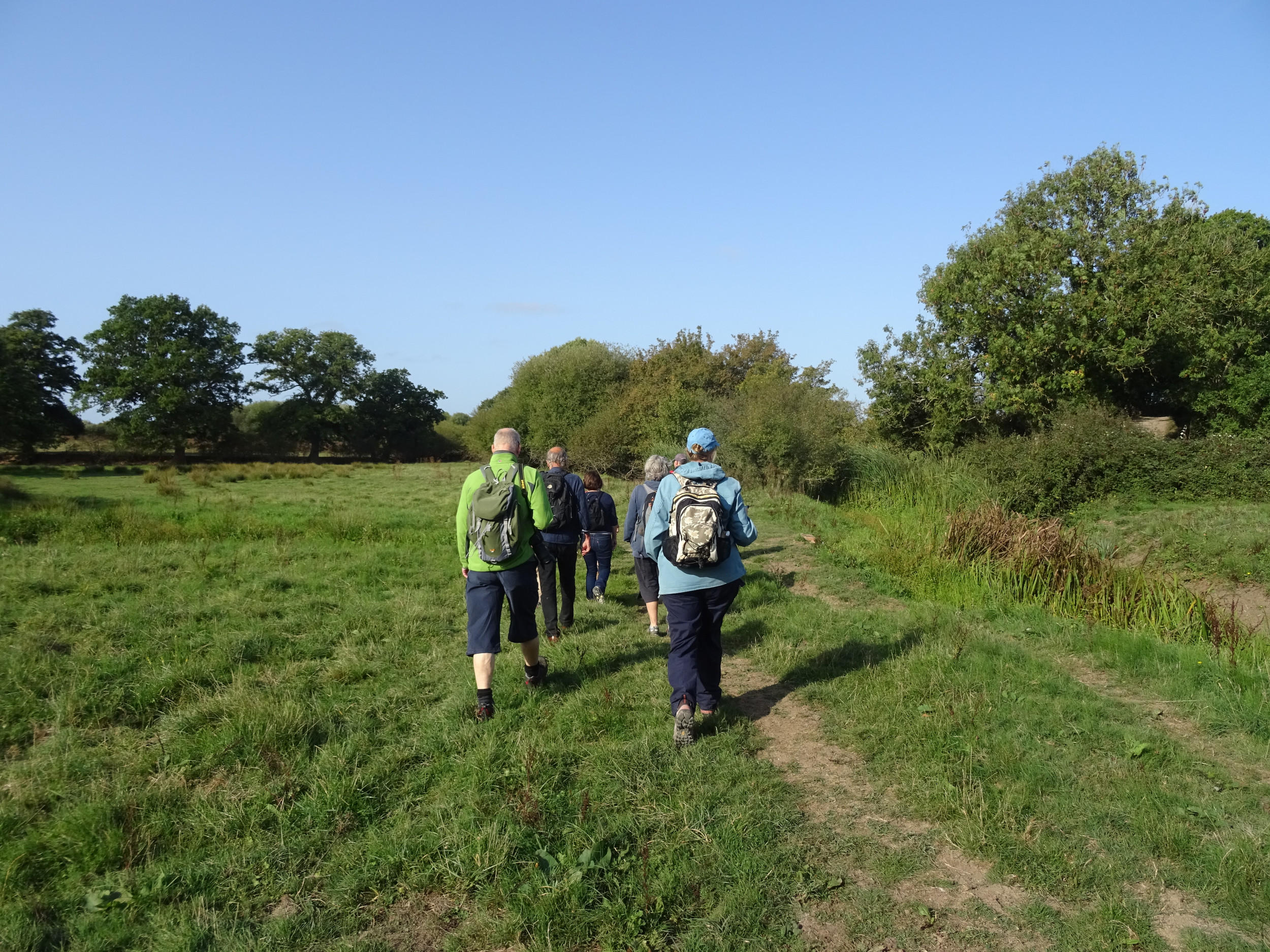 Walks and Trails | Manhood Wildlife and Heritage Group