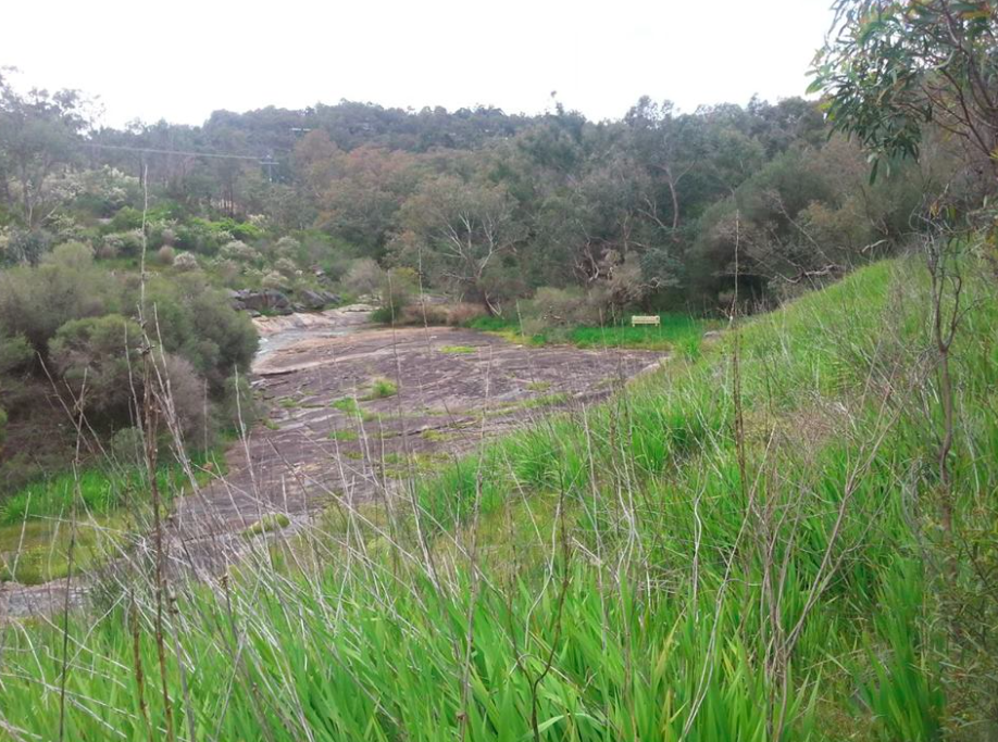 ROLEY POOL WALK TRAIL
