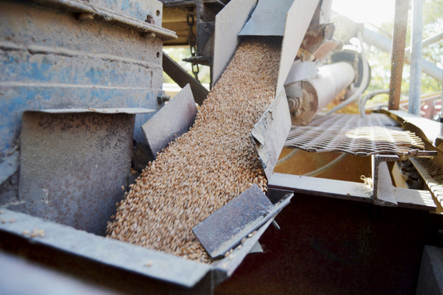 Splitter Seed | Mixed Grain Separation | Seed Cleaning | Missouri