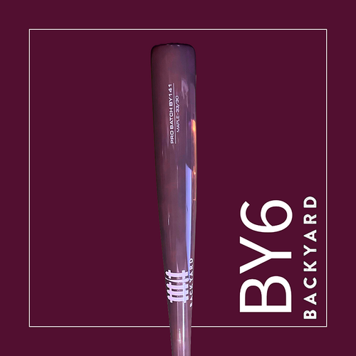 BY 6 | Backyard Bats