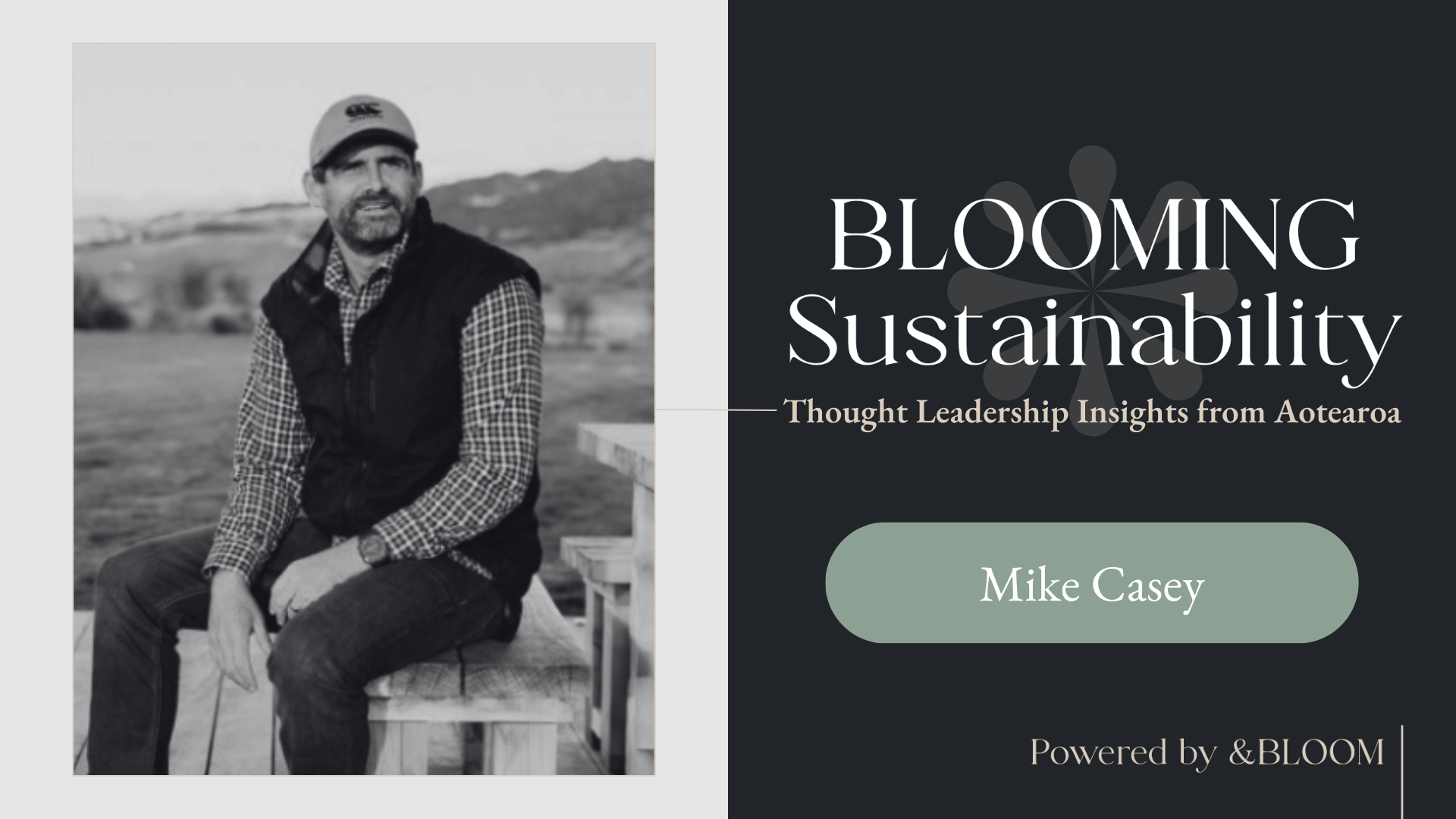 Mike Casey | &BLOOM