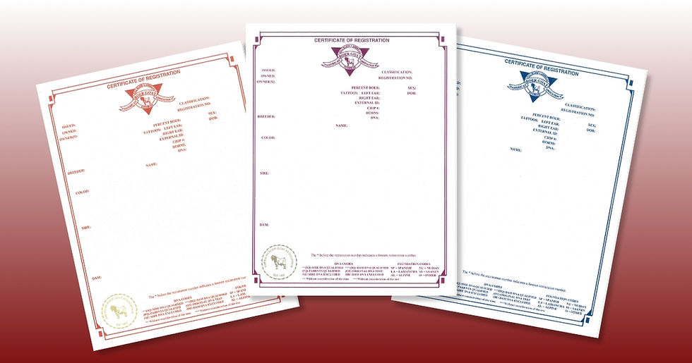 Certificate Colors & Herd Books