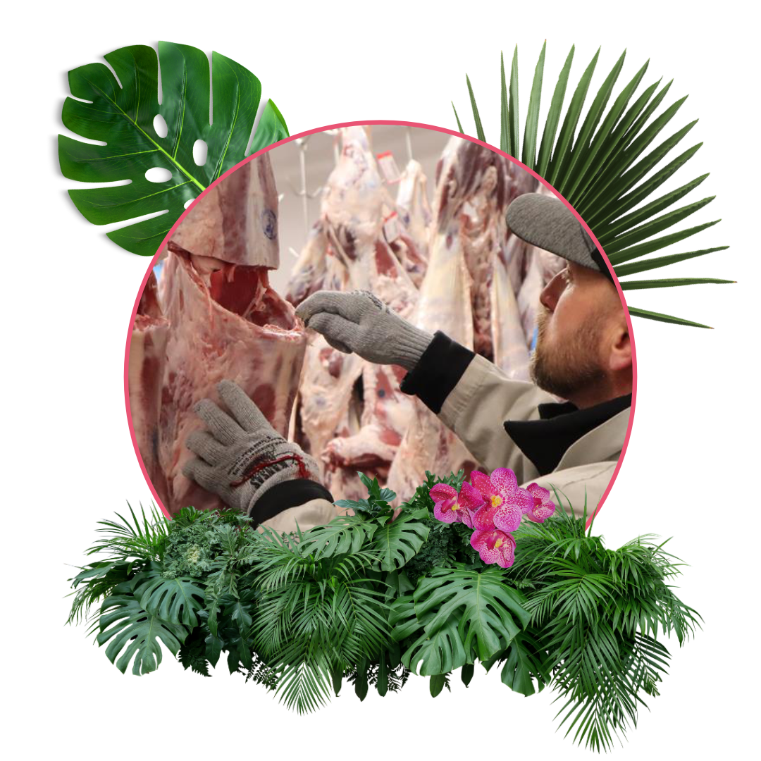 National Show - Meat Goat Evaluation