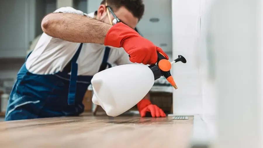 How to Choose the Best Pest Control Products for Your Rockwall Home
