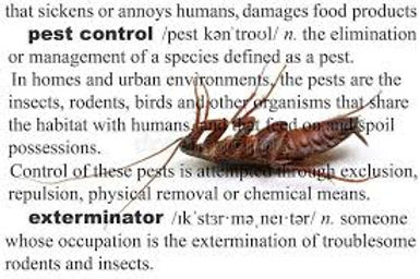 Understanding Pest Control Terminology: A Rockwall Guide