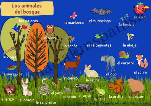 Forest Animals - Animales del Bosque - Poster | Mysite 1