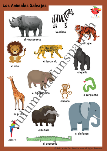 Jungle Animals - Animales Salvajes - Poster | Mysite 1