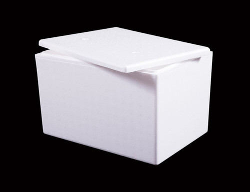 Polystyrene cooler box - for invertebrates (22liter) | Aquatic Plants SA