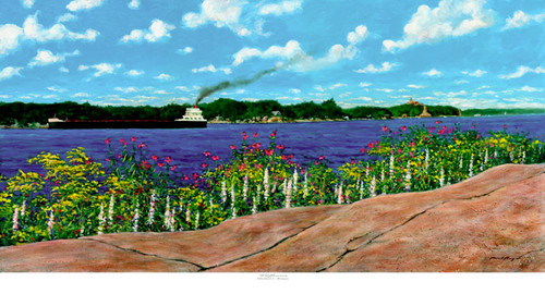 Wildflowers | michaelringercom