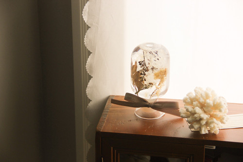 Crystal Ball - Golden Nectar | aliceblueflorist