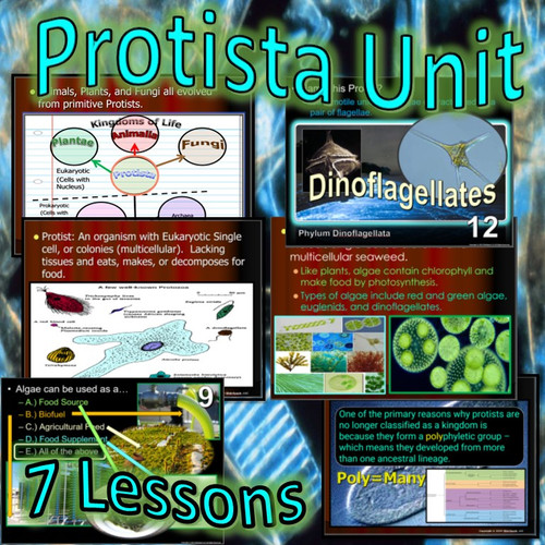 Taxonomy and Classification Unit Part 3: Protista Lesson Bundle | www ...