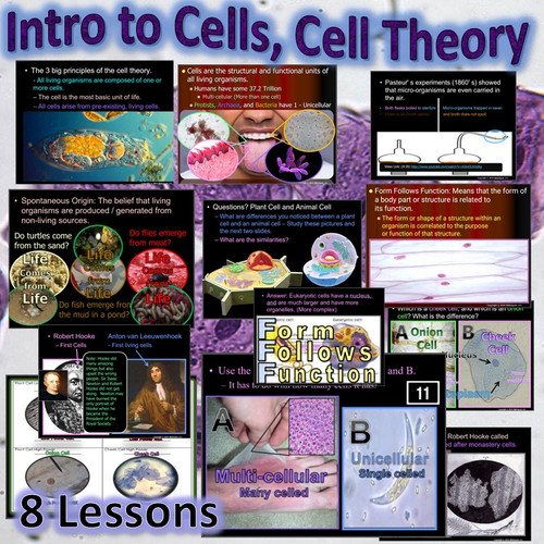Cell Biology Unit Part 1: Intro to Cells, Structure Function, Cell ...