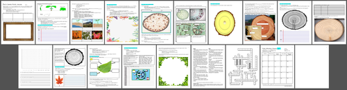 Botany Unit Part 4: Roots, Plant Tissues, Hormones, Tropisms, Lear ...