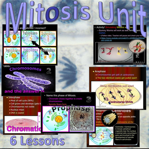DNA and Genetics Unit Part 2: Cell Division, Mitosis, Cell Cycle Lesson ...