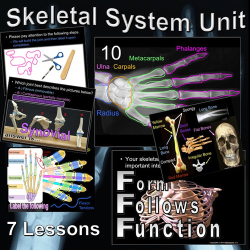 Human Body Systems Part 2 Skeletal System Unit | www.slidespark.net